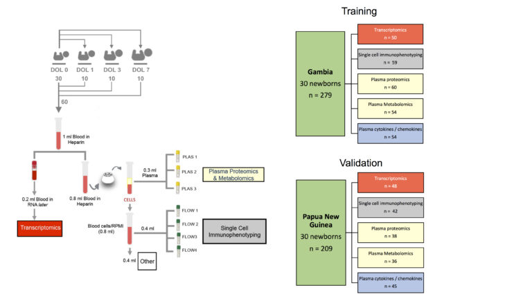 Multi-omics data integration: method and showcase applications | mixOmics